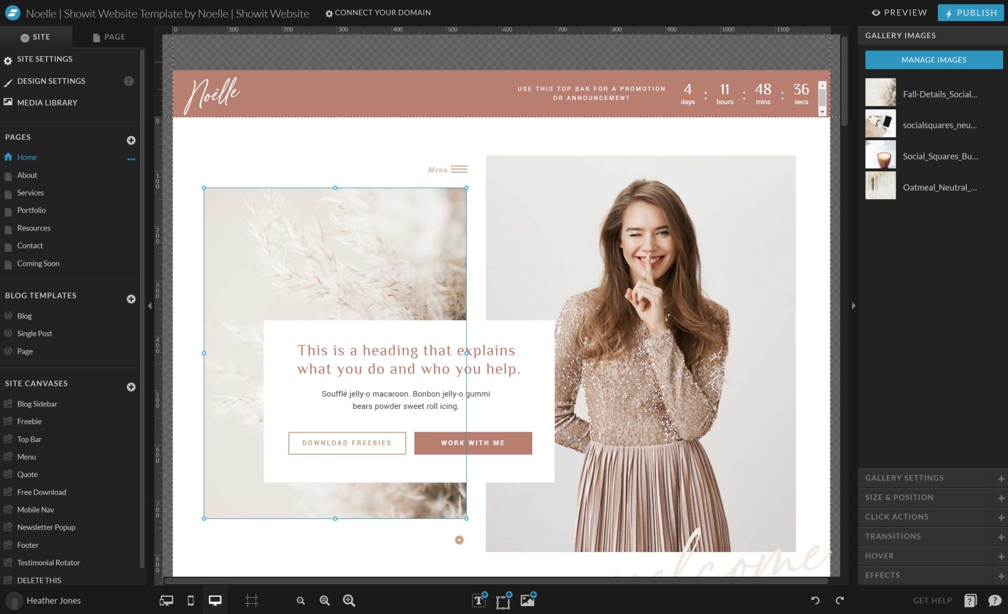 Read the Blog for Website Tips, Designs, Showit Tips, and More.